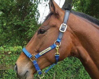 Horse halter tag | Etsy