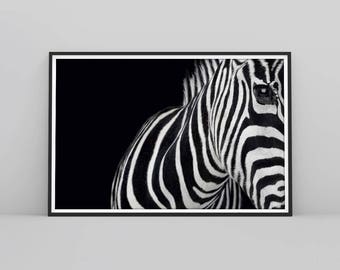 Zebra print | Etsy