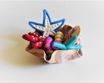 Seashell collection | Etsy