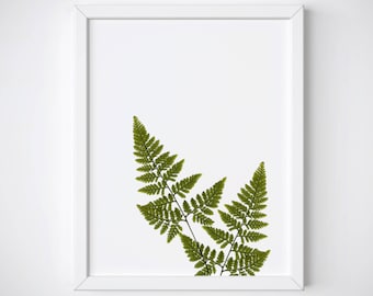 Fern Wall Decal Large Leaf Decals Vinyl Wall Decal Leaves