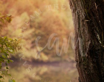 Forest backdrop | Etsy