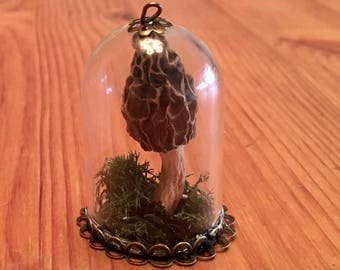 Mini Plastic Dome Pendant Small Terrarium Domes Tiny Display