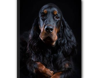 Gordon setter art | Etsy