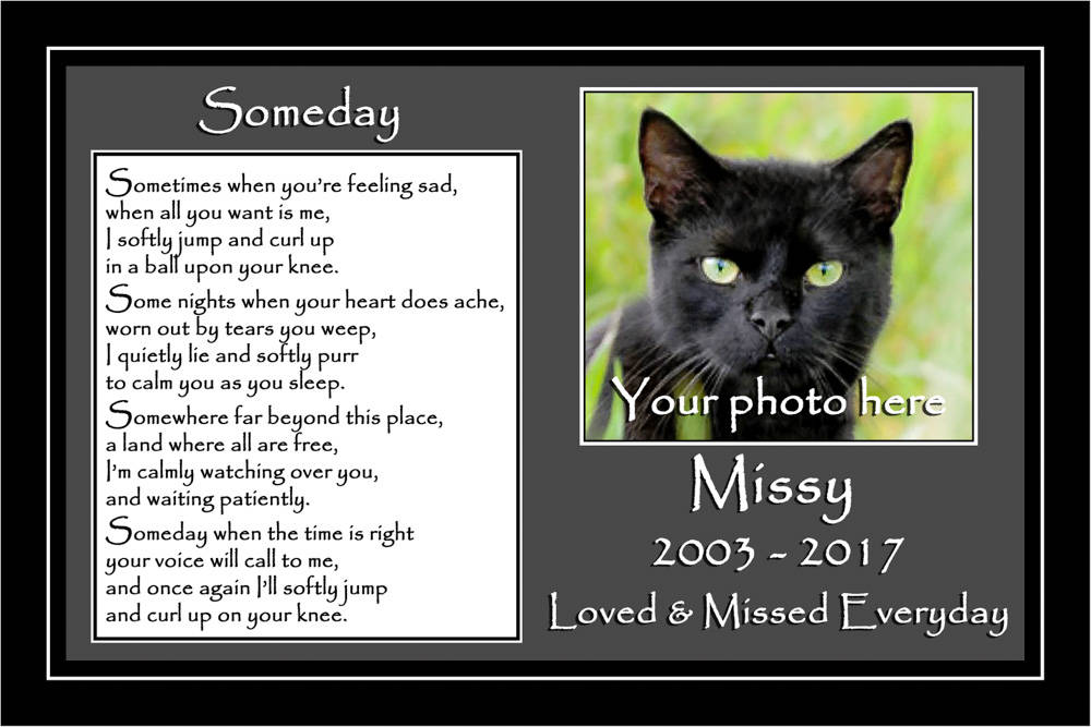 Personalised Pet Cat Memorial Bereavement Sympathy Gift