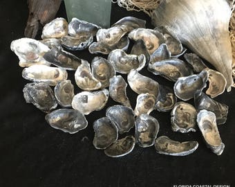 Black oyster shell | Etsy