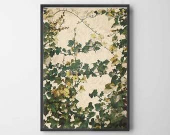Ivy print | Etsy
