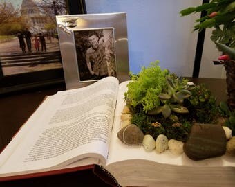 Book planter | Etsy
