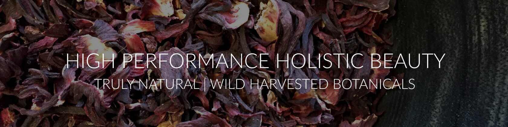 Truly Natural Holistic High Performance Skin by Naturallogic