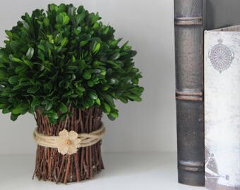 Preserved boxwood | Etsy