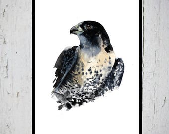 15 inch Peregrine Falcon Hand Carved Wooden Bird Carving