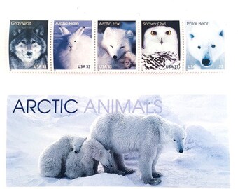 Arctic Animals Clipart Winter Animals Clip Art Polar Bear