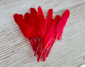 Very Long Red and Iridescent Black Feather Earrings