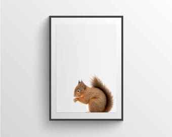 Squirrel poster | Etsy