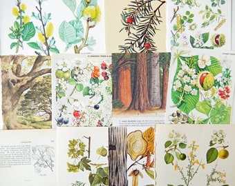 Vintage paper craft | Etsy