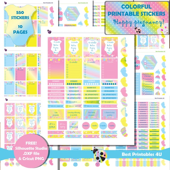 Pregnancy Planner Stickers Printable Milestones kitPregnancy