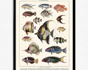 Fish poster | Etsy
