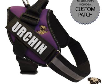 Custom dog harness | Etsy