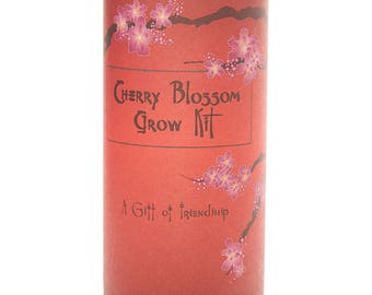 Red Maple Tree Seed Grow Kit The Jonsteen Company