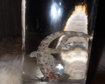 Etsy :: Your place to buy and sell all things handmade