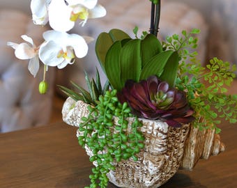 Orchid planters | Etsy