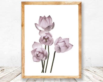 Lotus flower print | Etsy