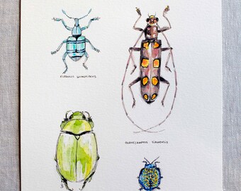 Peinture insecte | Etsy