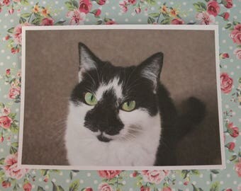 rootin tootin raspberry pillsbury funny face drink painting