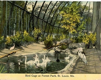 Vintage Postcards for Collecting & Gift Giving by PostcardBoutique