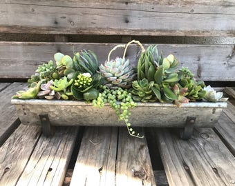 Succulent box | Etsy
