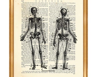 Skeleton art print | Etsy