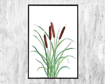 Watercolor cattails | Etsy