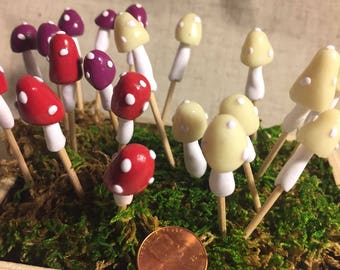 Mini mushroom | Etsy