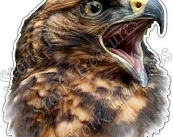Hawk car decal | Etsy