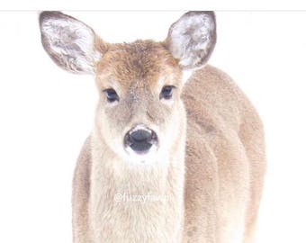 Fuzzy Fawn Wildlife Rescue Shop by FuzzyFawnShop on Etsy