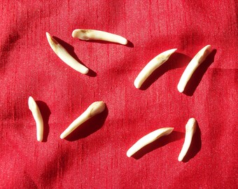 Pronghorn antelope | Etsy