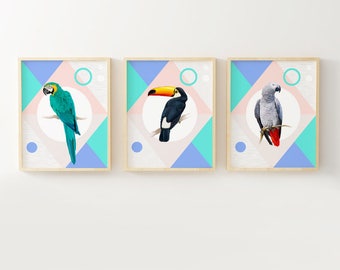 Tropical bird art | Etsy