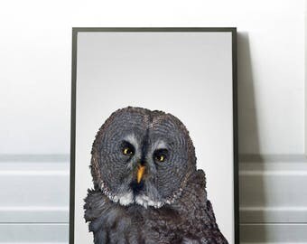 Owl print | Etsy