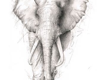 Elephant drawing | Etsy