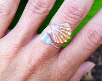 Sunrise shell | Etsy