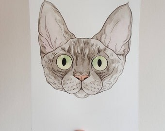 Devon rex | Etsy