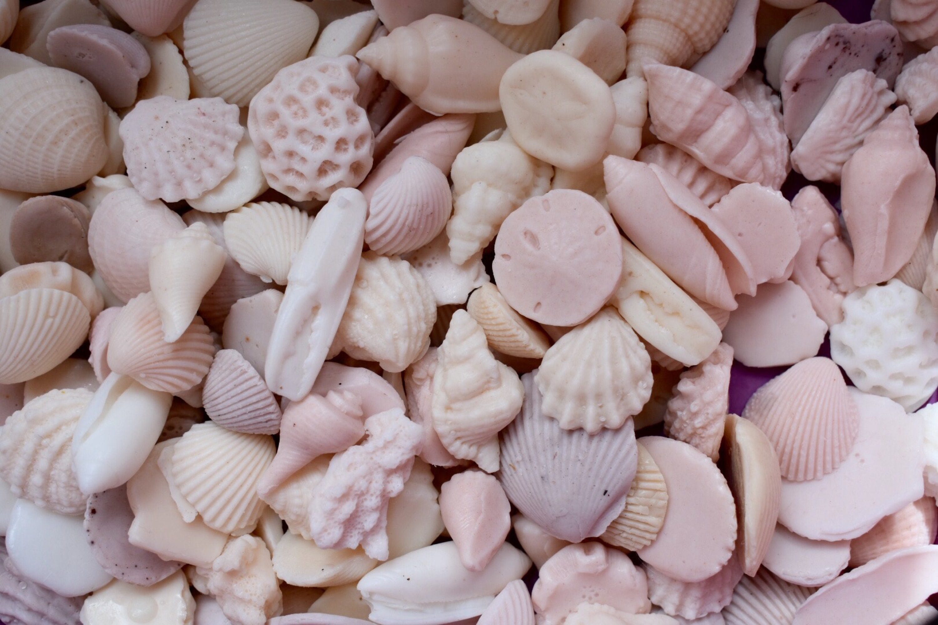 100 MINI Sea Shell Soaps