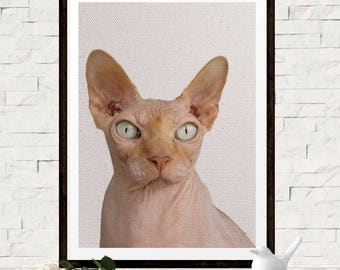 Sphynx cat art | Etsy