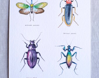 Peinture insecte | Etsy