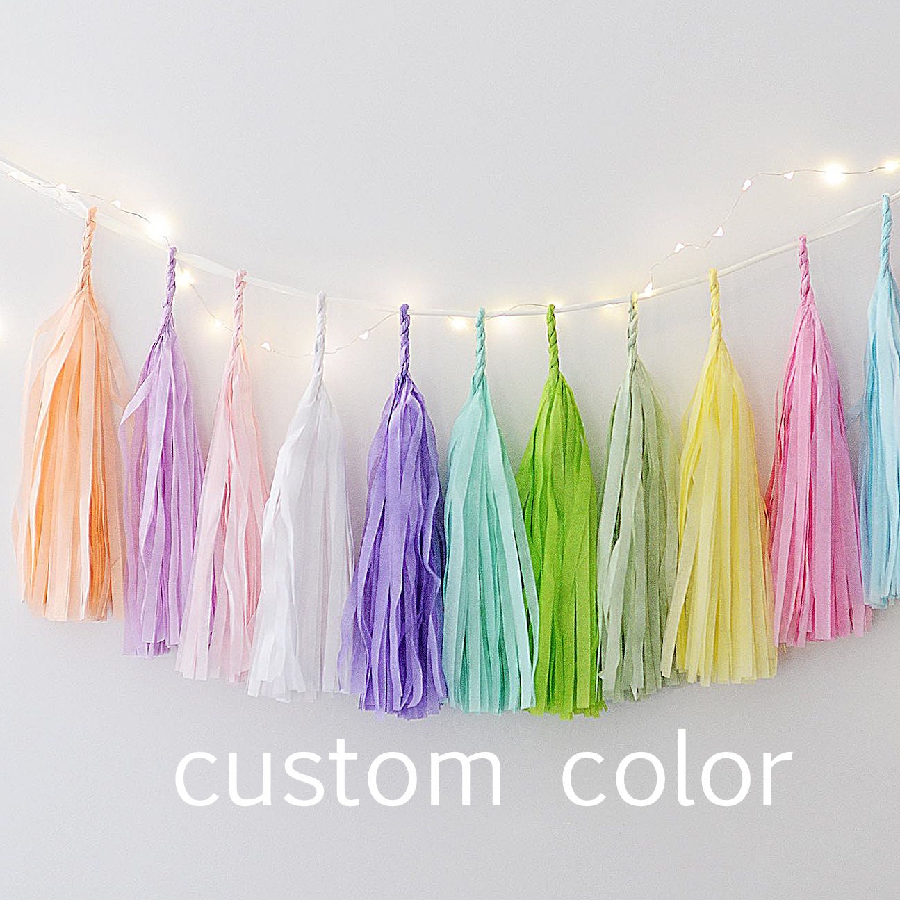 Tissue paper tassel garland Custom color fully