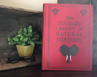 Coffee table books | Etsy