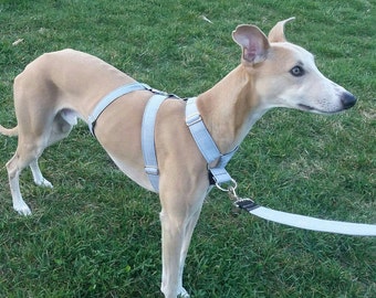 Dog harness pattern | Etsy