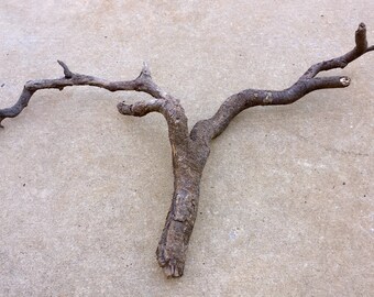 Driftwood tree roots | Etsy