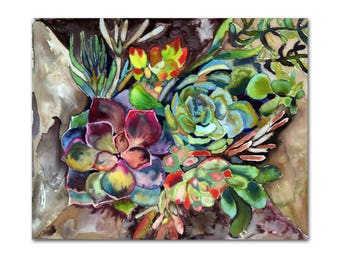 Succulent garden | Etsy
