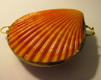 Shell coin purse | Etsy