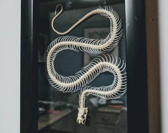 Articulated skeleton | Etsy